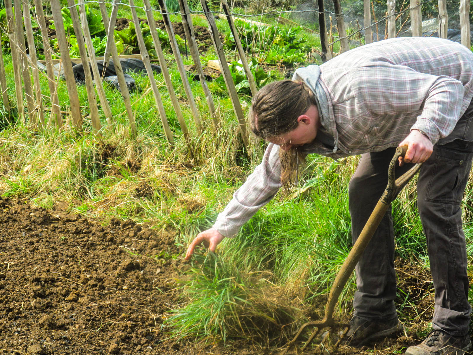 Progression of the new plot on the Weald Allotment. – Brighton and Hove ...