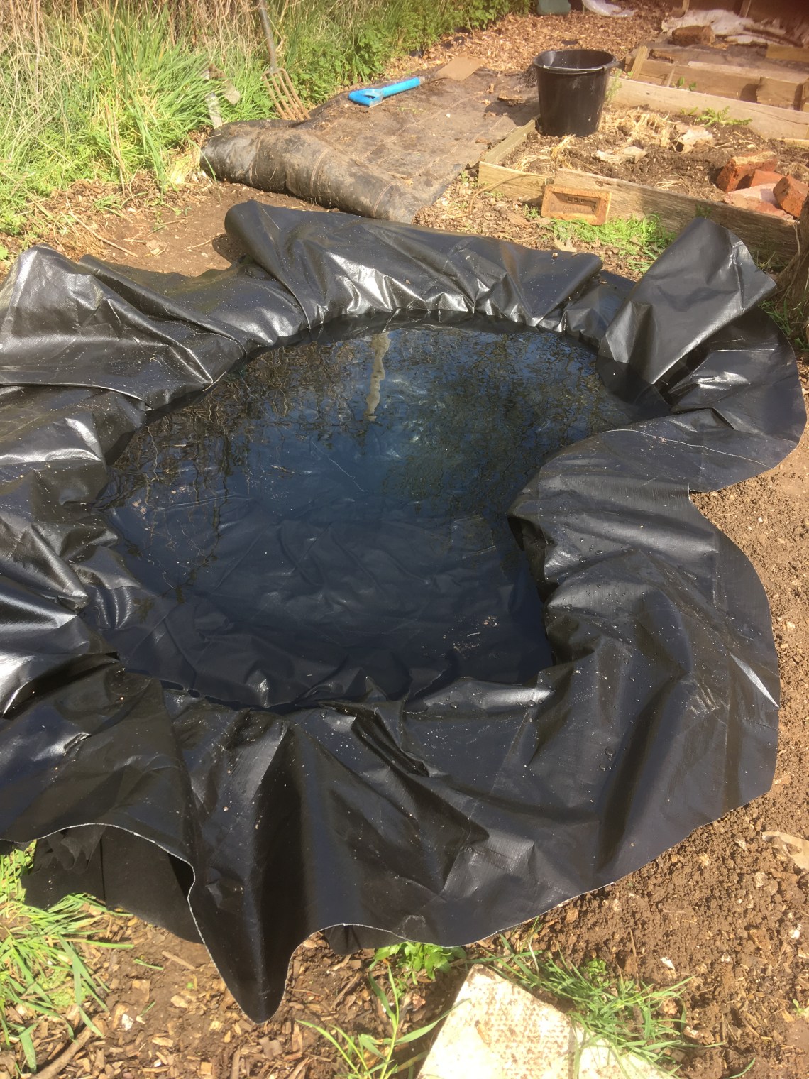 How To….Make a Wildlife Pond – Brighton and Hove Organic Gardening Group